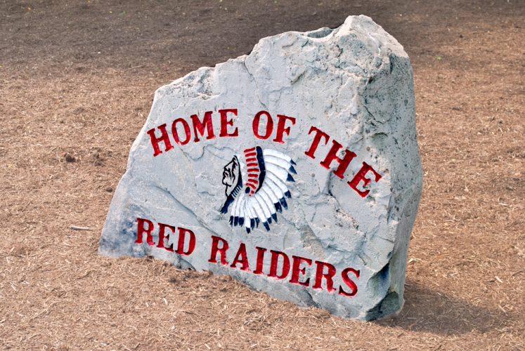 ‘Roll on Raiders:’ BASD tables mascot discussion | News, Sports, Jobs ...